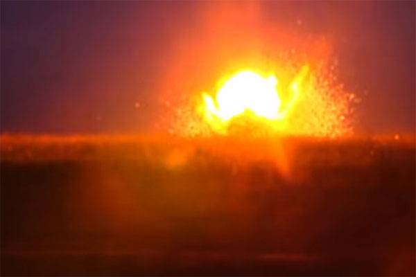 In the DNI experienced the "stuffing" for "Cheburashka"