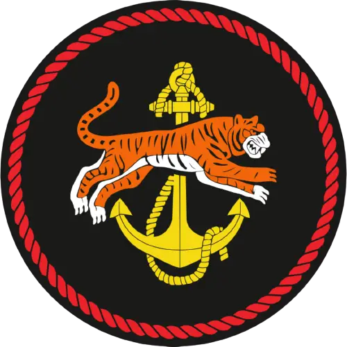 Assault groups of Marines of the 155th Brigade knocked out the ...