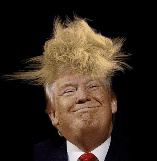 Trump was advised to switch from Greenland to Svalbard; Russia responded.